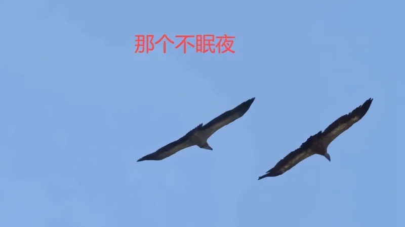 卡拉OK字幕 KTV MV 音乐分享 老歌回顾 卡拉OK字幕 KTV