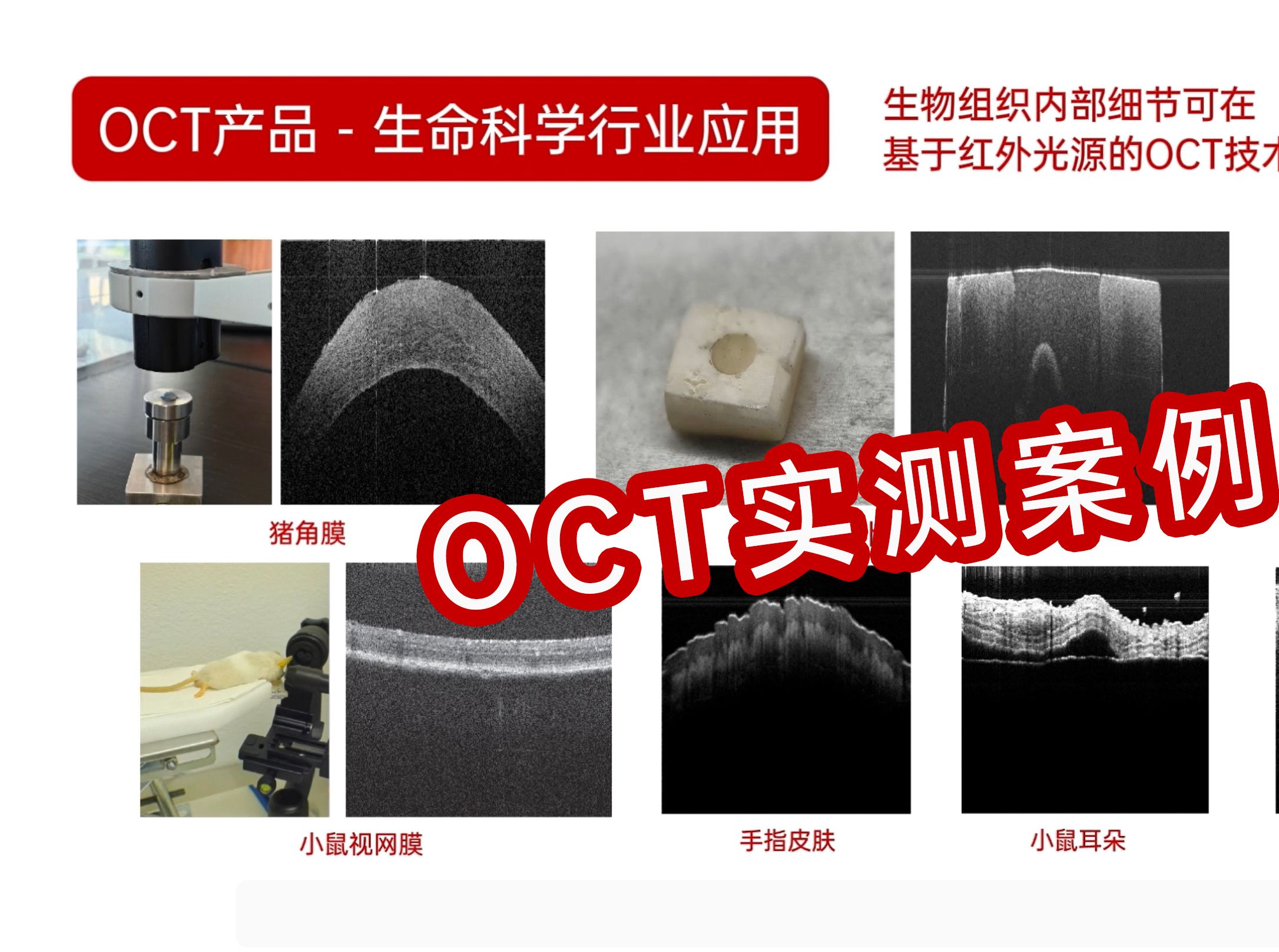 友思特技术 | 光学相干断层扫描OCT成像系统 使用演示及实测案例