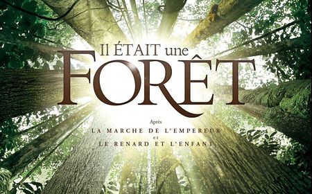 【法语英字】从前有座森林2013 Once Upon A Forest / Il était une Forêt