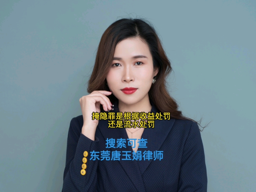 深圳专业刑事辩护律师在线咨询—掩隐罪按照流水还是收益处罚