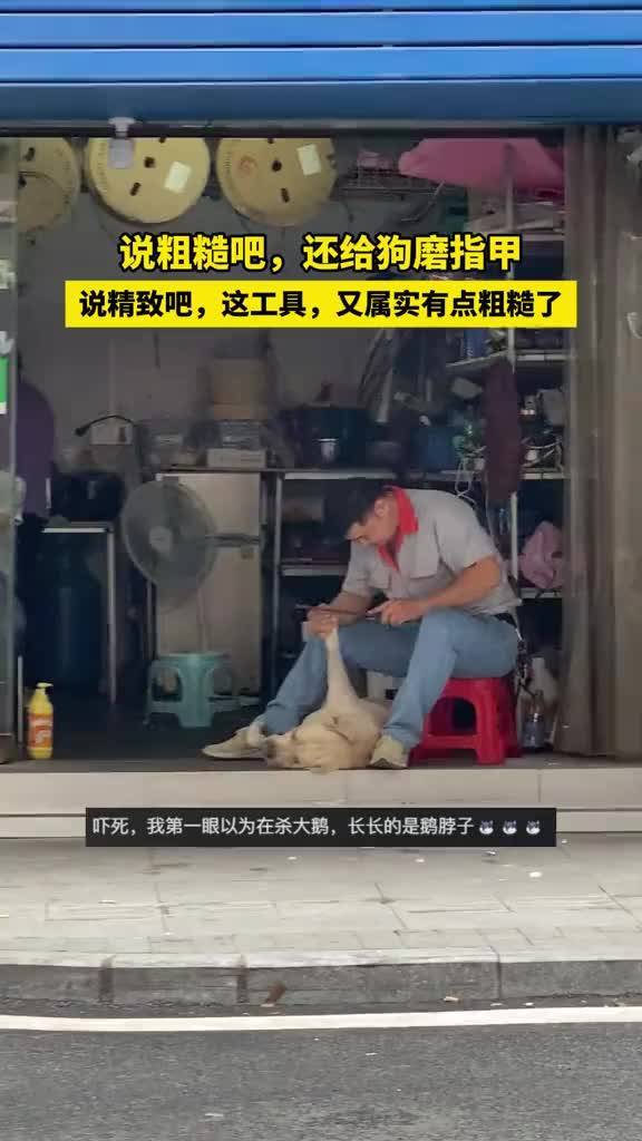 说粗糙吧还给狗磨指甲,说精致吧这工具确实有点粗糙