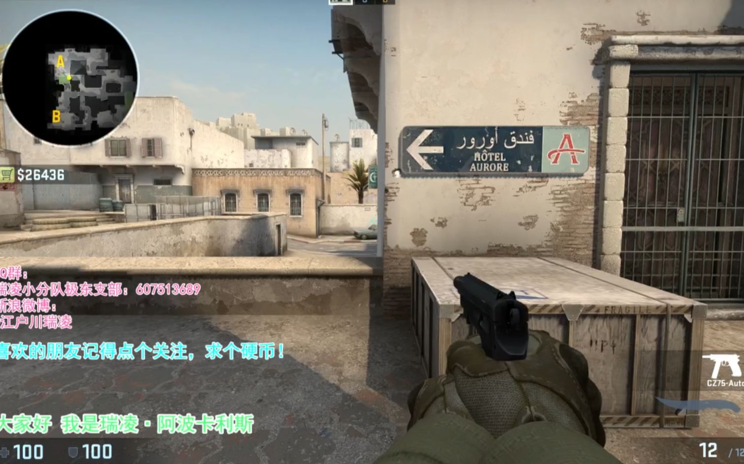 【CSGO】新版枪械教学 补全版(Part B)