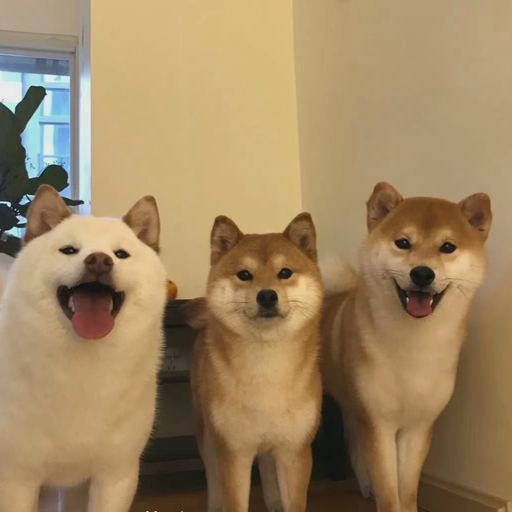 小阿忆在路上 