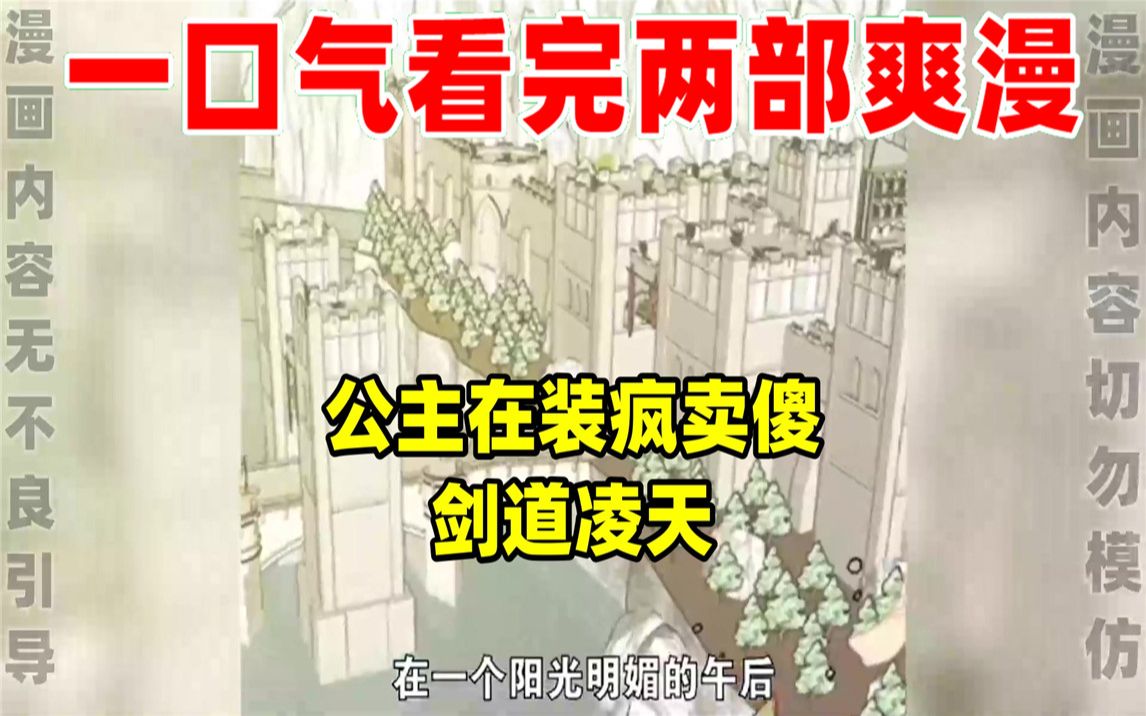 【内卷区up】一口气看完两部漫画,超长漫画解说《公主在装疯卖傻》...