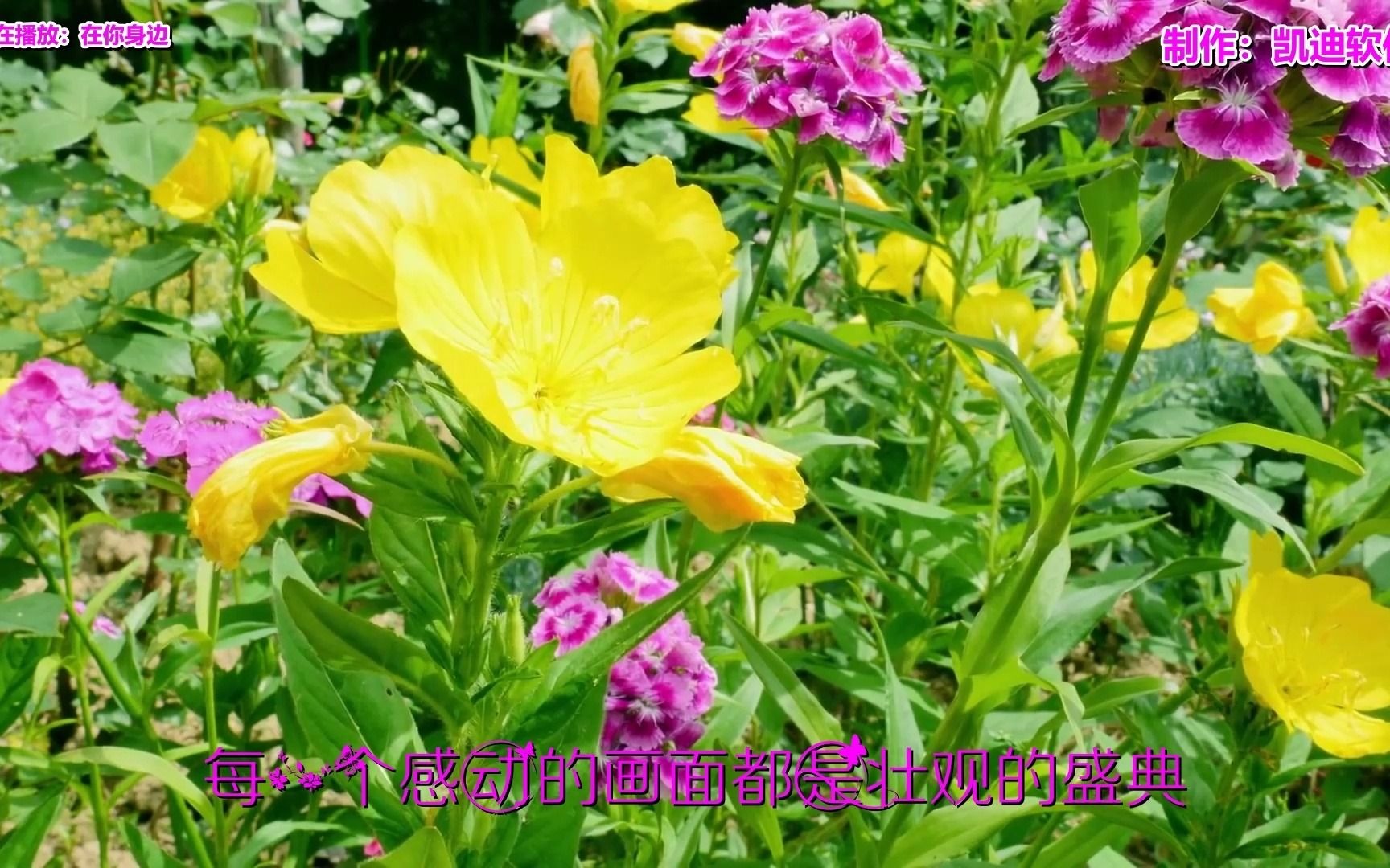 《在你身边》《逝去的诺言》经典歌曲欣赏