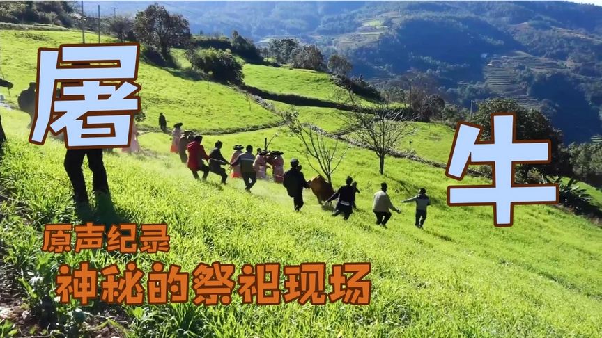 多元文化民族传统习俗#云南少数民族#苗族