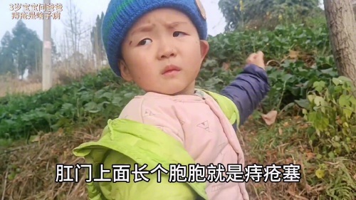 3岁宝宝问爸爸,痔疮是啥子病哟
