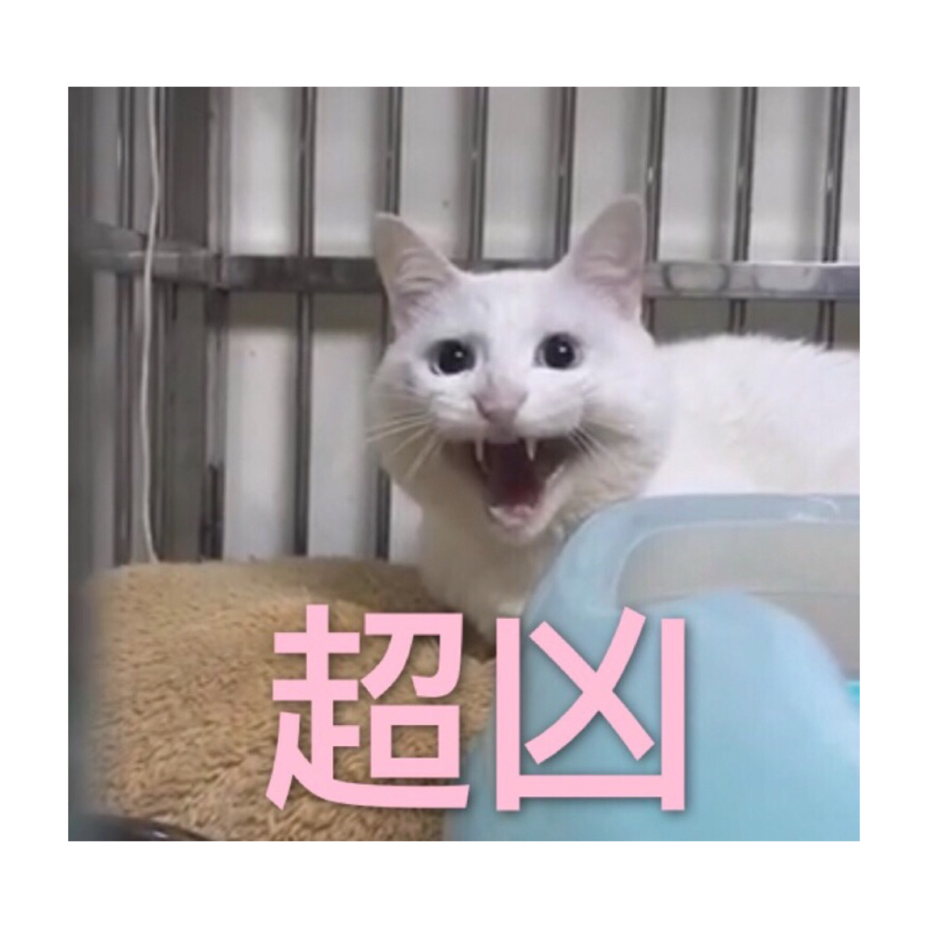 真一_sama 