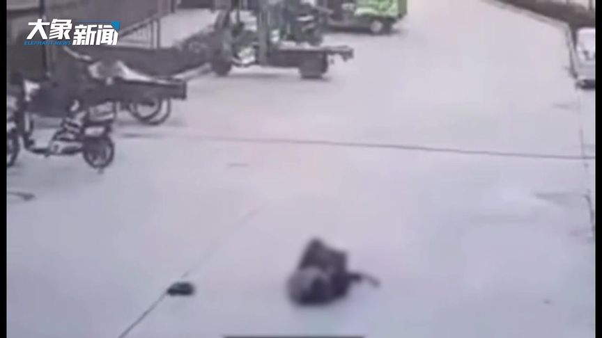 8岁女孩被狗撕咬1分钟,警方:狗主人罚1万