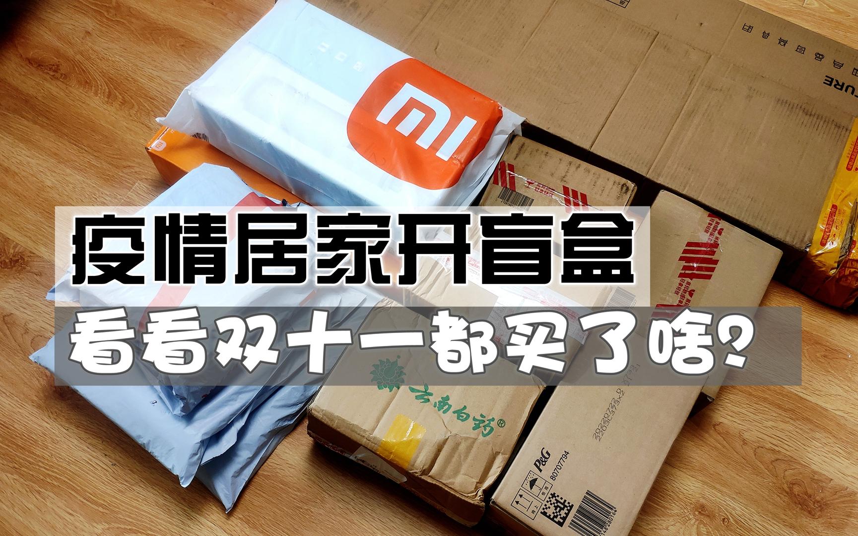 【散仙日常】疫情居家双十一开盲盒 果然冲动消费是魔鬼
