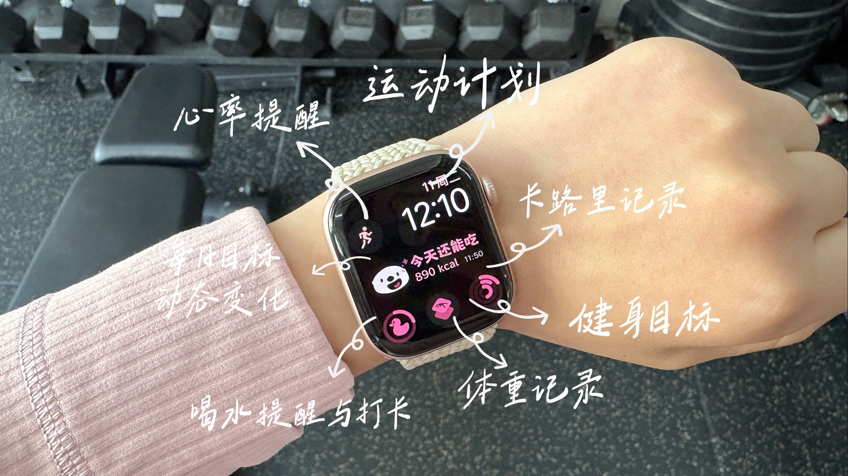 Apple Watch刷脂表盘教程:让Apple Watch,秒变减肥神器!