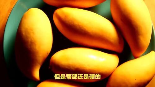 怎么判断桂七芒果熟没熟?桂七芒果怎么保存