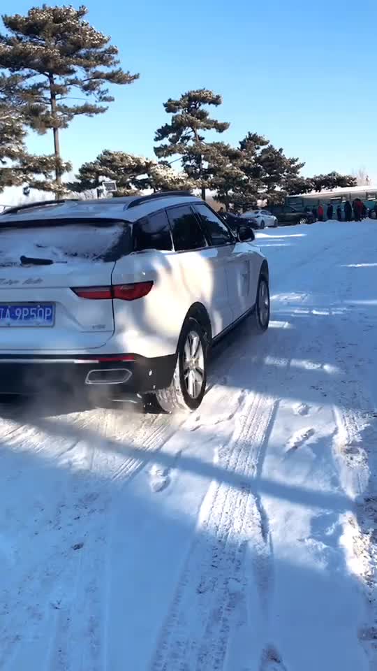 ...车身稳定控制,胎压监测装置,自动驻车,全景天窗,多功能方向盘,自适应...