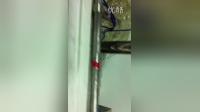 PVC TPU精密 医用软管 自动定长切管机