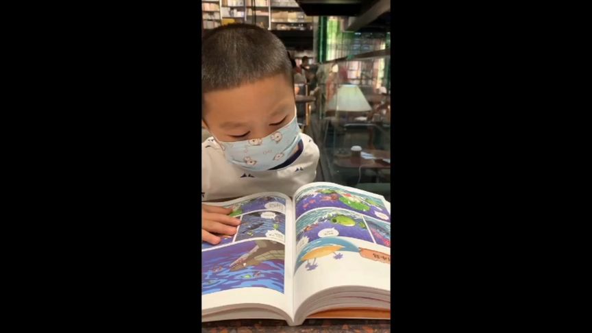 四岁半的老三正式开启泛阅读模式。