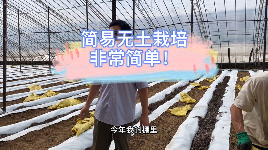 简易无土栽培操作非常简单!