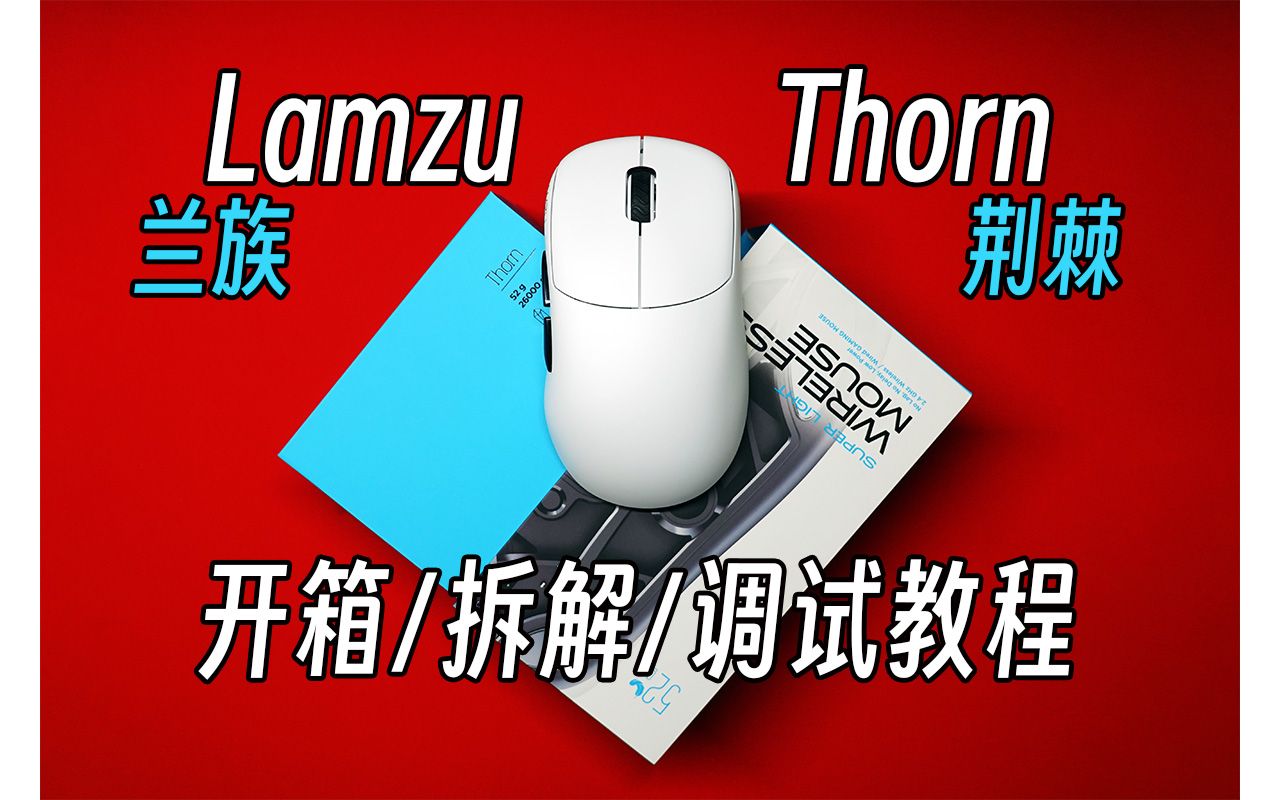 【鼠标优化】 胡鸽的“艺术品”兰族荆棘 右手人体工学鼠标 开箱/拆解...