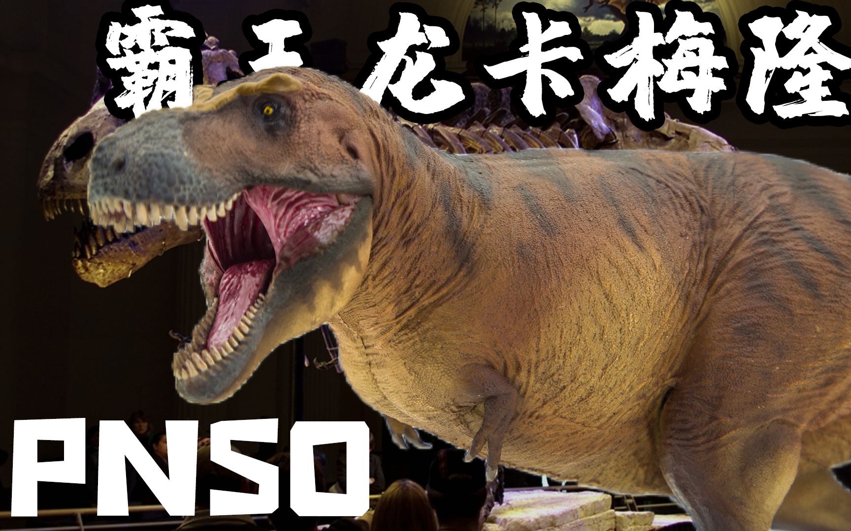 新的霸王龙之王?PNSO霸王龙卡梅隆模型