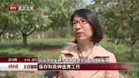 北京全力打造城市森林生态系统 北京新闻 180424