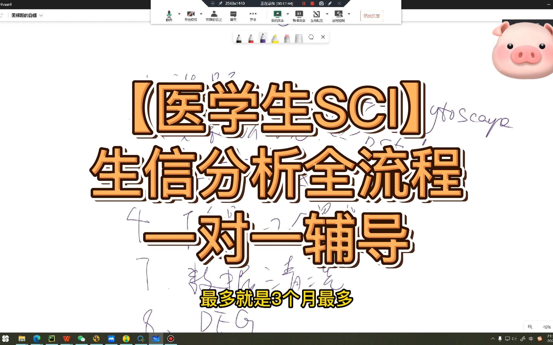 【三个月一篇一作医学SCI】生信1v1全流程辅导 | 辅导流程介绍 | R...