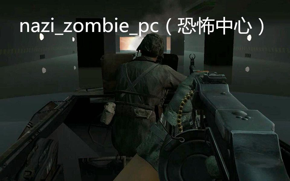 【使命召唤5】nazi_zombie_pc(恐怖中心)双人完美通关