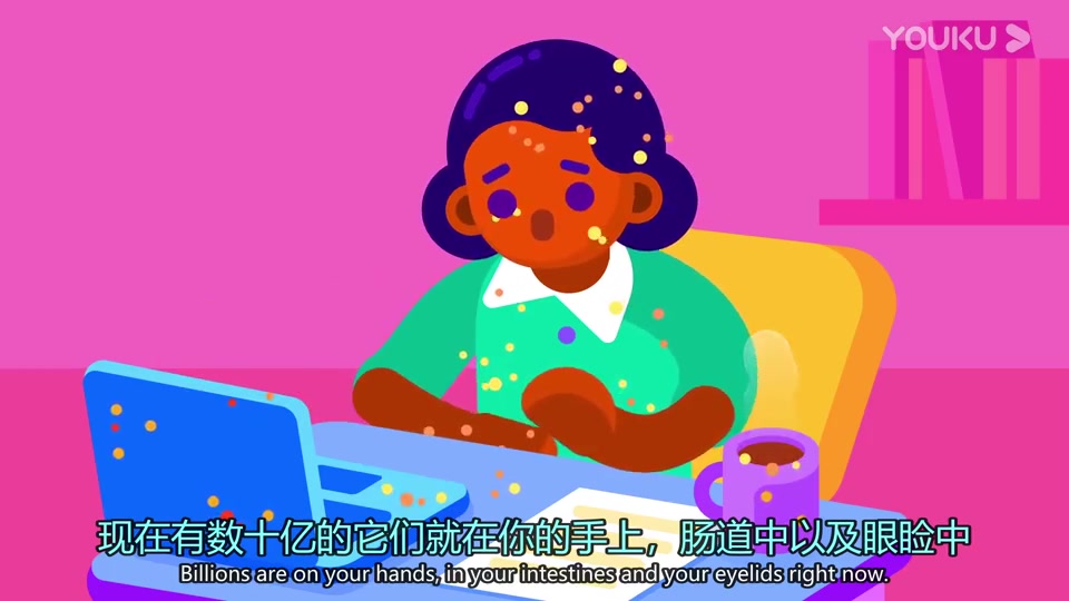 噬菌体侵染细菌