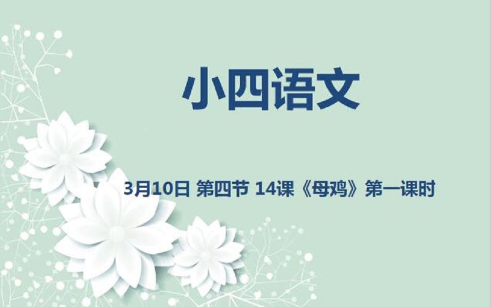 小四语文03-10 第四节 14课《母鸡》第一课时
