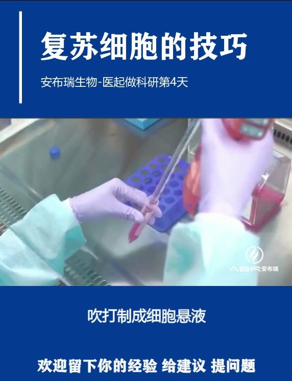复苏细胞的技巧