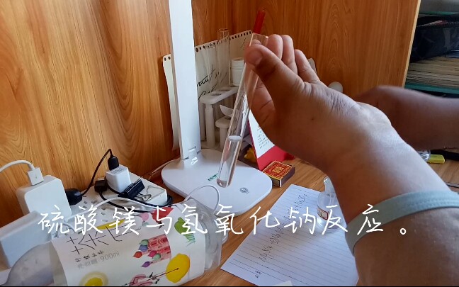 硫酸镁与氢氧化钠反应实验