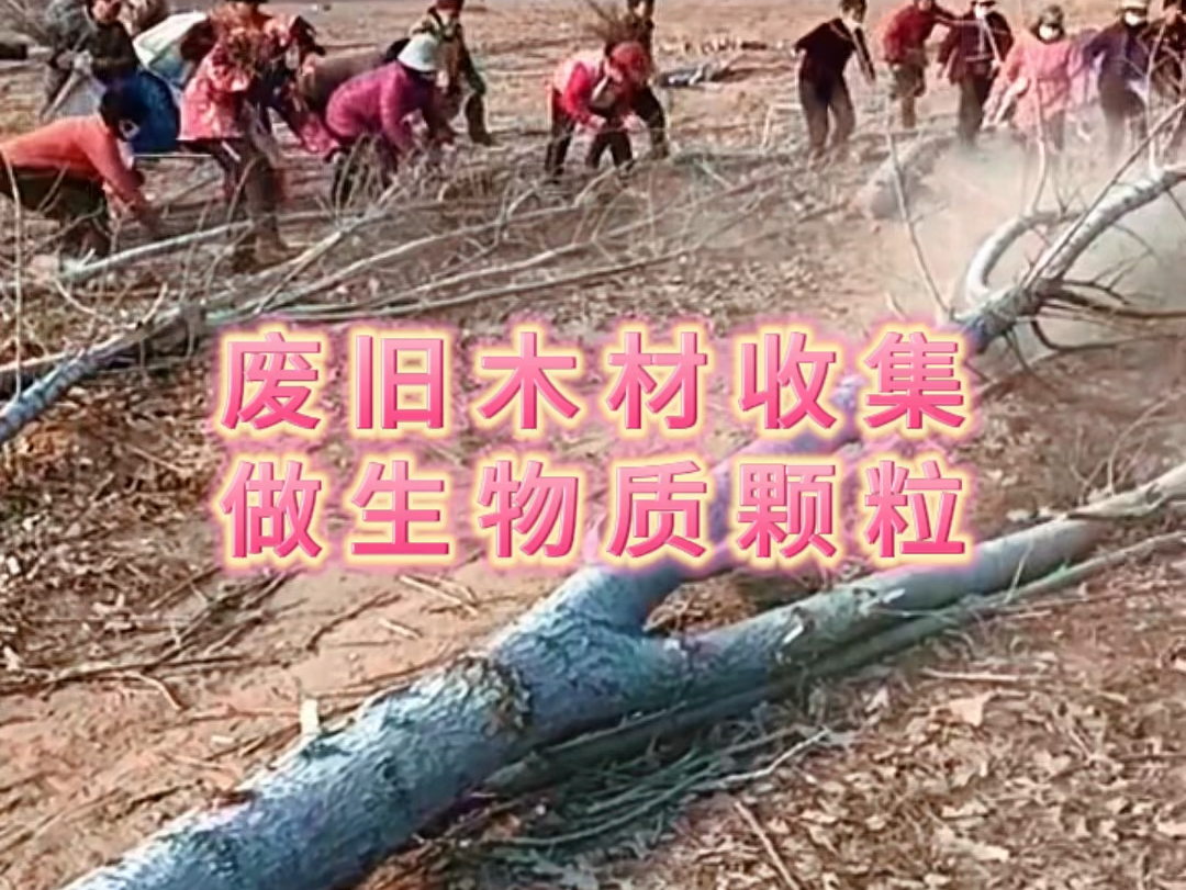 废旧木材收集加工变废为宝制作生物质颗粒