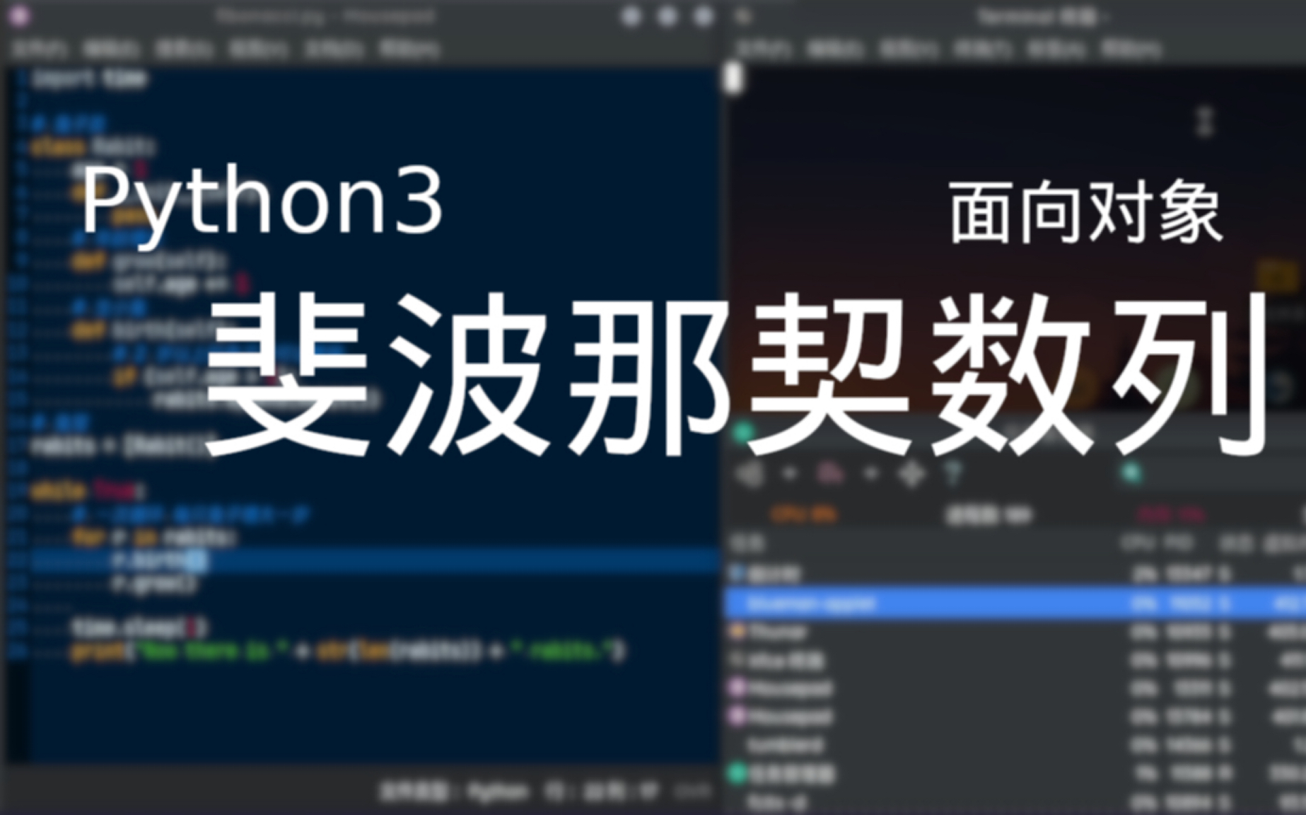 【Python3】斐波那契数列 面向对象编程练习 折磨我的树莓派