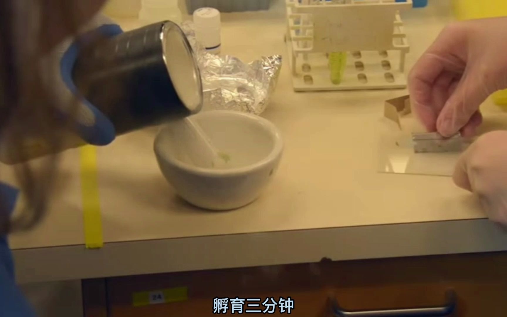 植物总RNA纯化试剂盒