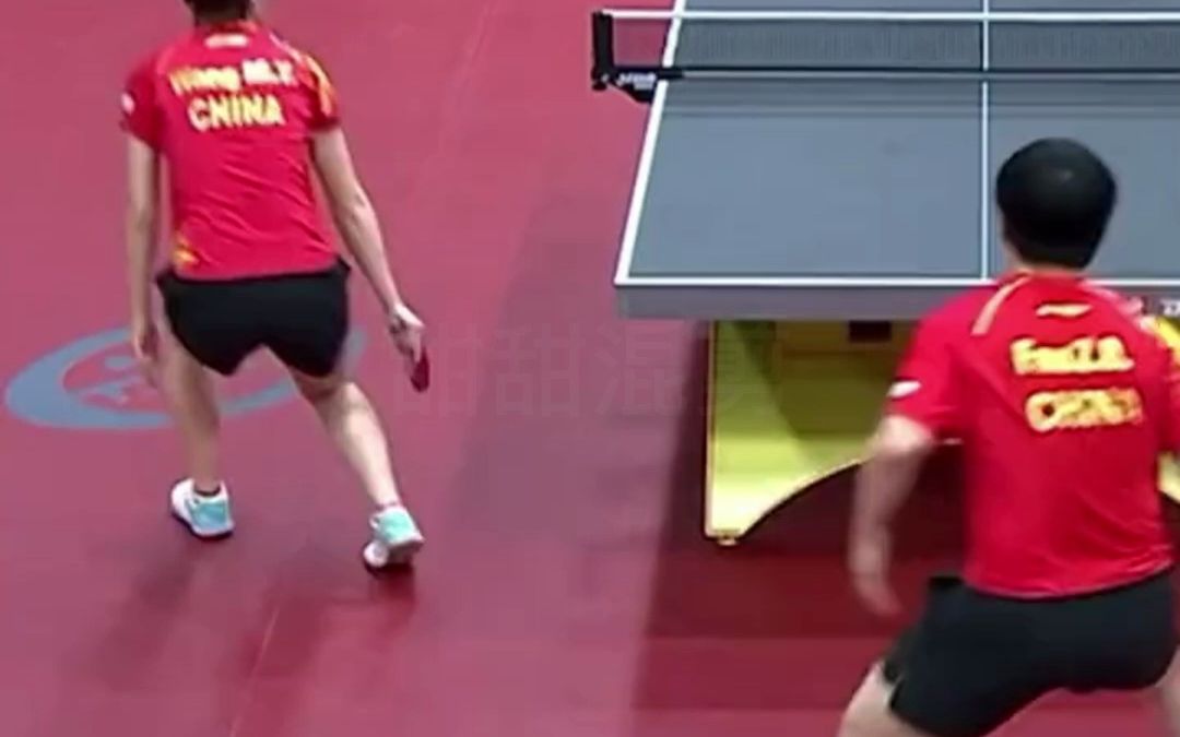 樊振东摔出挡板还好没受伤,东哥又贡献一个名场面!王曼昱憋不住笑了!