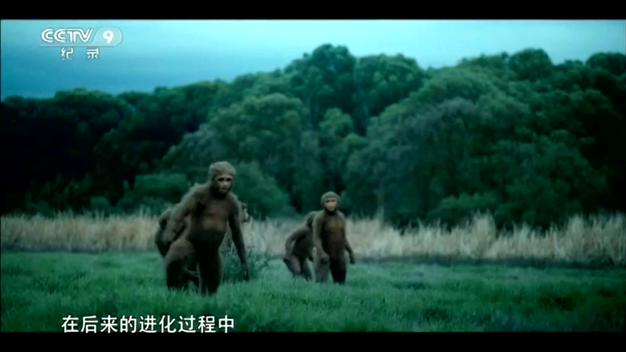 人类起源