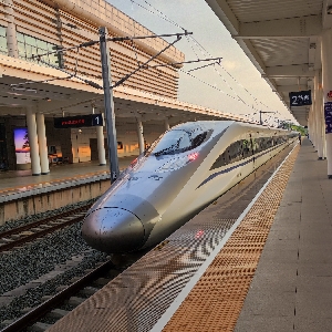 ZLJC2021 