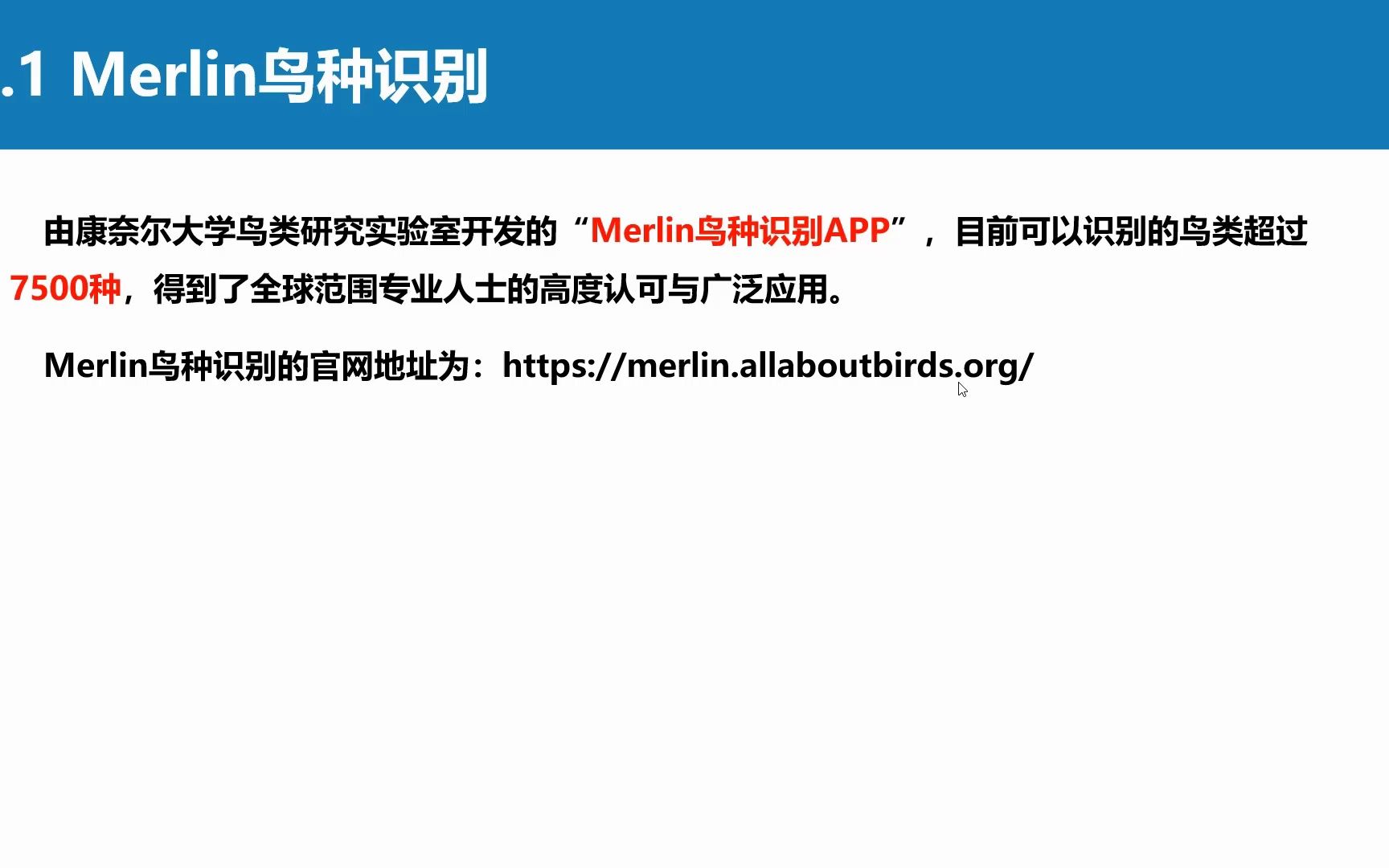 2.1 Merlin鸟种识别