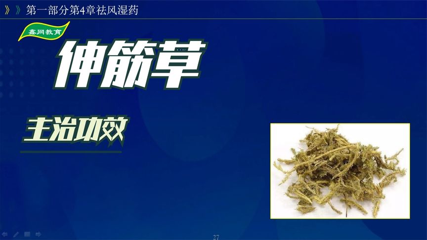 中药-伸筋草的主治功效