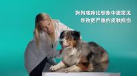 爱波克有效缓解狗狗瘙痒问题 改善皮肤状况