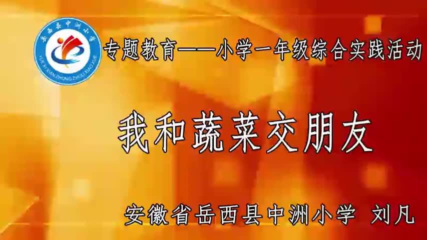 小学综合实践1-2年级4