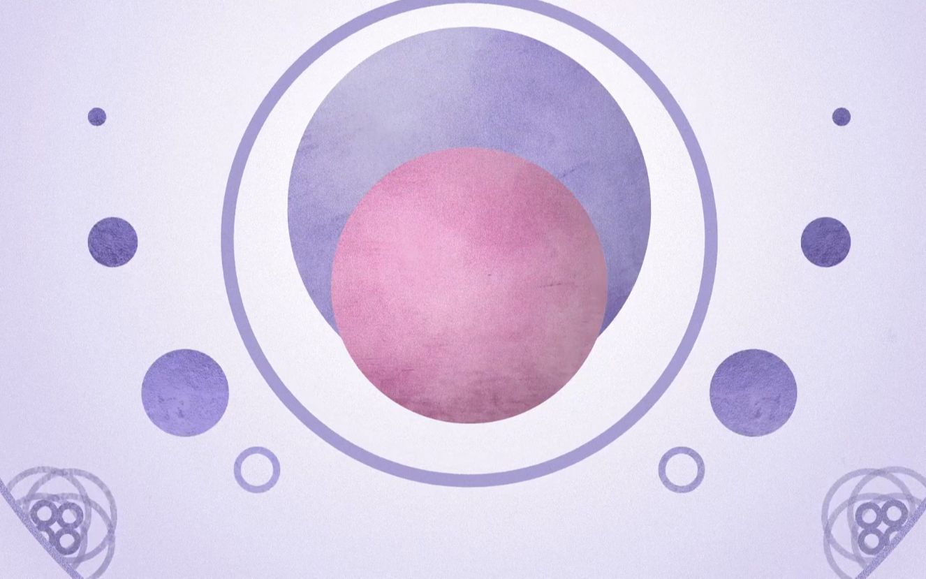 【二维动画】创意几何图形圆形的巧妙过渡动态设计《Circle And ...