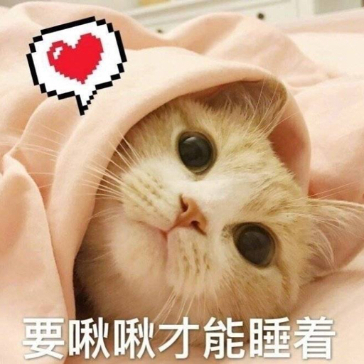 KK天才 