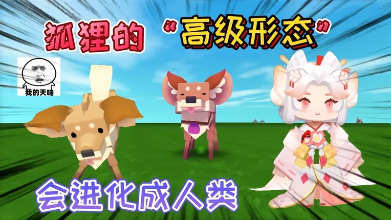 迷你世界:狐狸的“高级形态”会进化成人类,绮梦灵狐华阳是狐狸