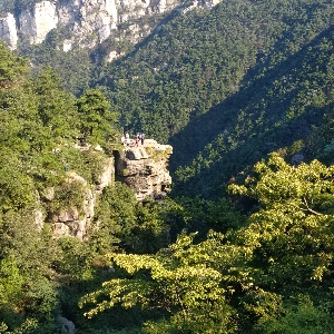 大王巡村 