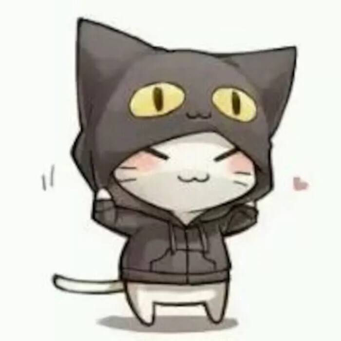 暗中观察的猫儿 