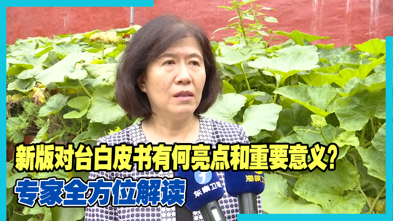 新版台湾问题白皮书有何亮点和重要意义?专家全方位解读