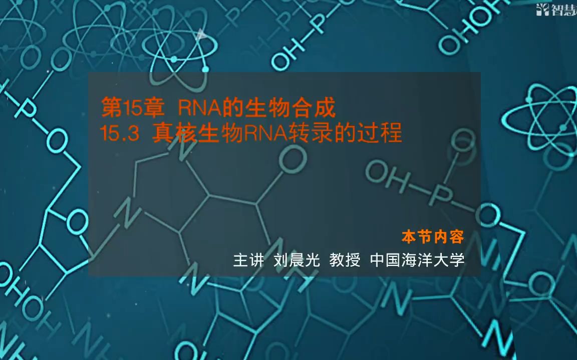 【中国海洋大学 生物化学】15.3真核生物RNA转录的过程