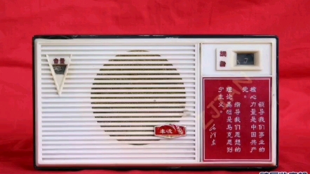 那些年俺家的第一台家电产品。有电路图、有印刷电路版、有说明书。