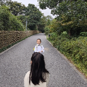 文静802 