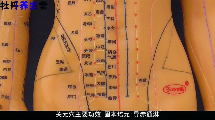 关元穴功效:固本培元,导赤通淋。主治疾病:痛经,失眠,脱肛。