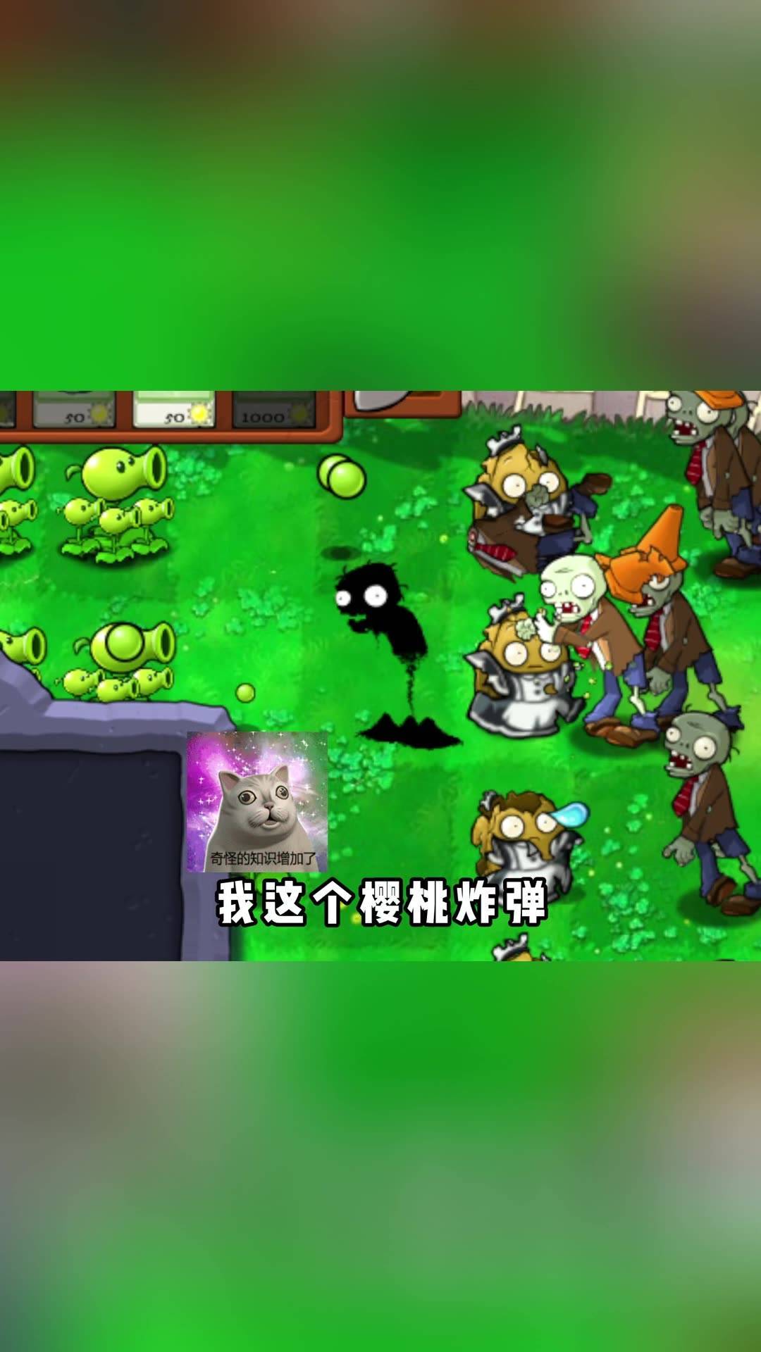 樱桃炸弹反目成仇,僵尸:你们成仇,受伤的是我?